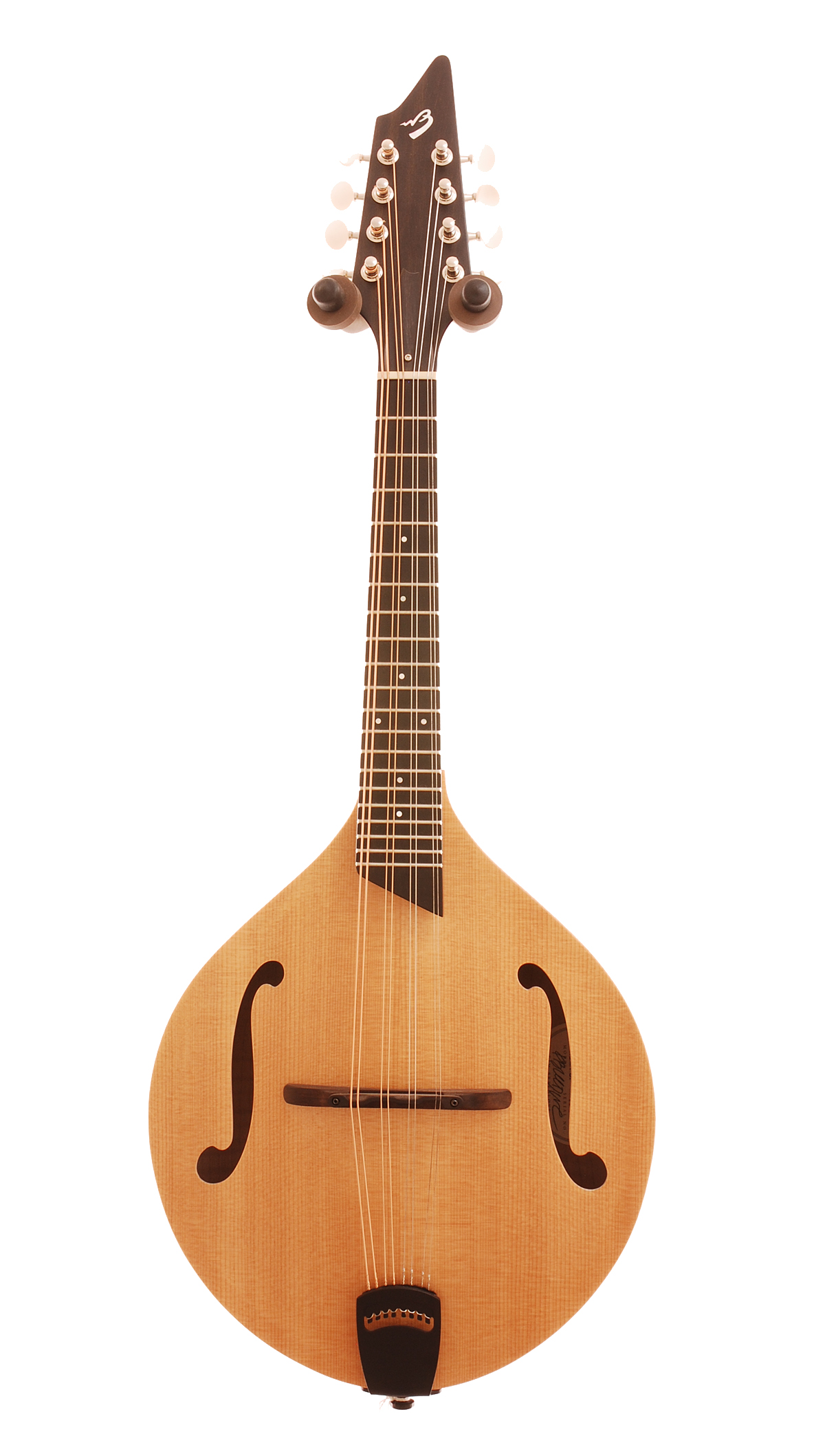Breedlove American Series OF Mandolin Stringed Folk Instruments ...