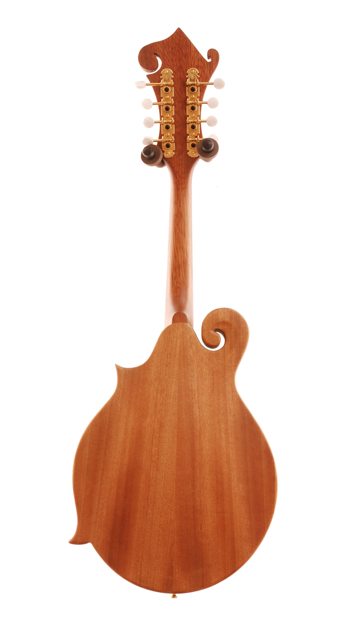 Delta Blue All Solid Mahogany Mandolin Stringed Folk Instruments ...