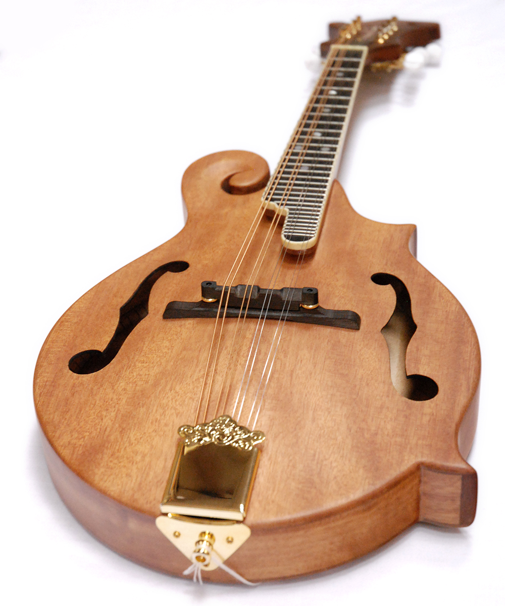 Delta Blue All Solid Mahogany Mandolin Stringed Folk Instruments ...