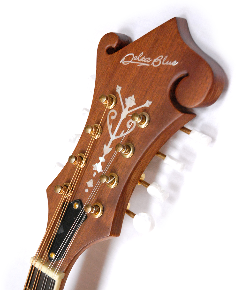 Delta Blue All Solid Mahogany Mandolin Stringed Folk Instruments ...