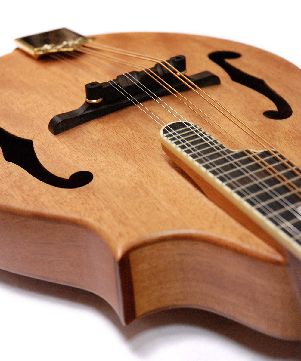 Delta Blue All Solid Mahogany Mandolin Stringed Folk Instruments ...