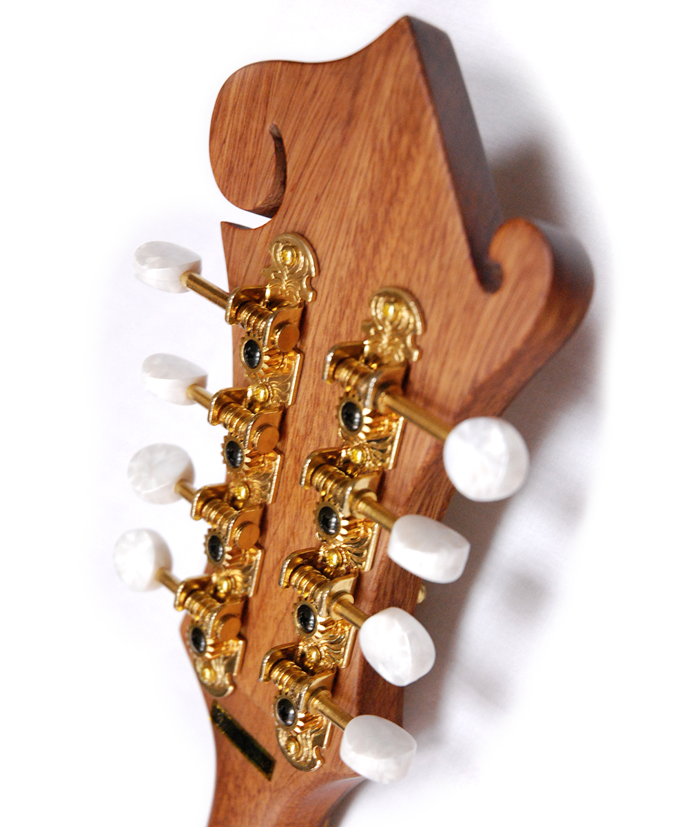 Delta Blue All Solid Mahogany Mandolin Stringed Folk Instruments ...