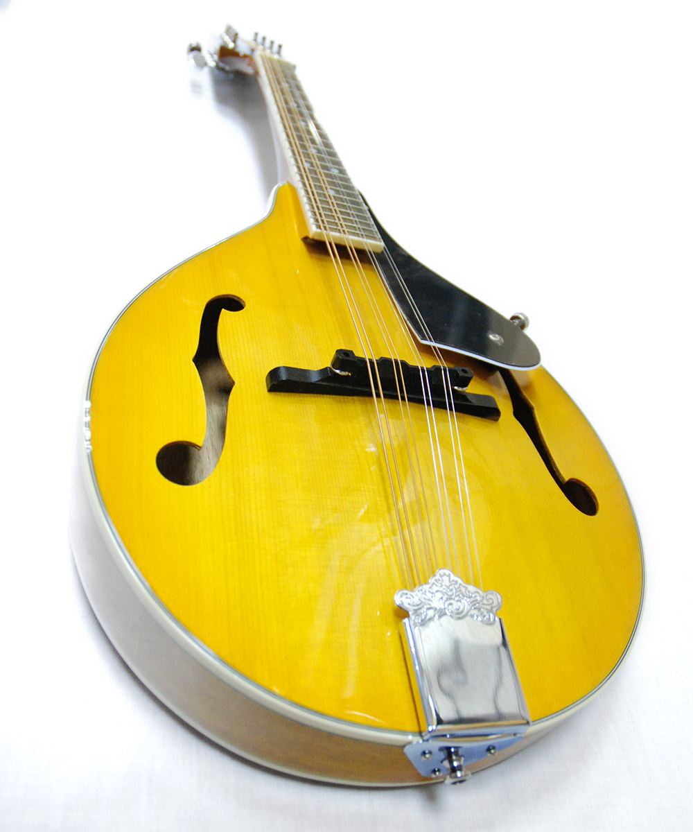 Delta Blue AM10 Mandolin Amber Stringed Folk Instruments - Scayles Music