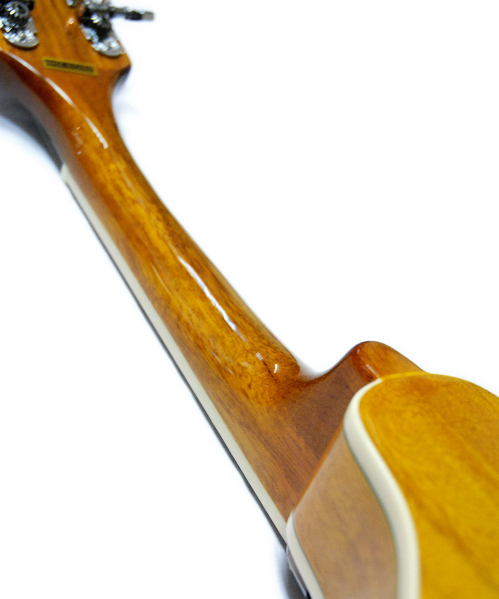 Delta Blue AM10 Mandolin Amber Stringed Folk Instruments - Scayles Music