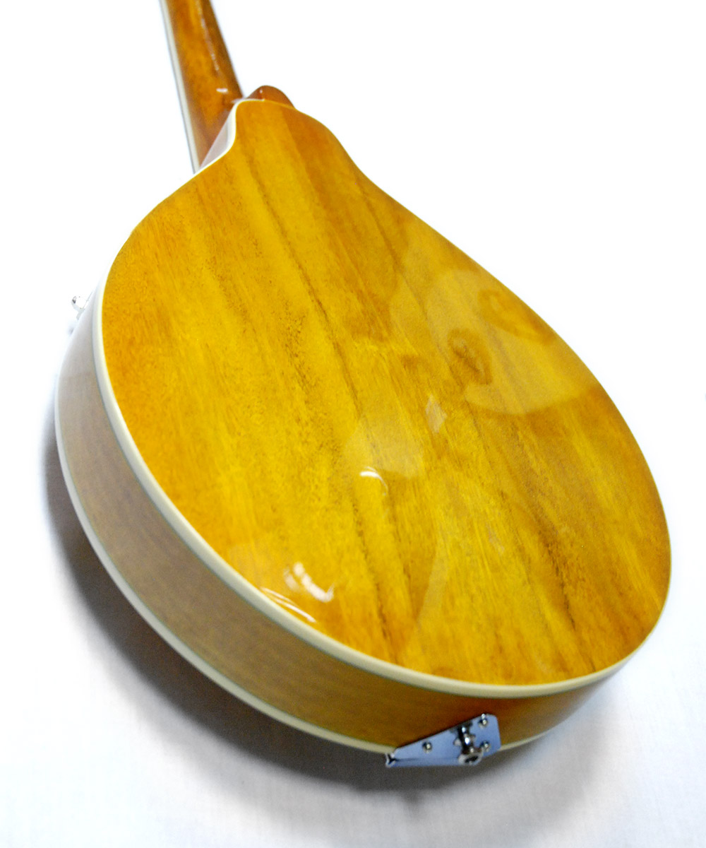 Delta Blue AM10 Mandolin Amber Stringed Folk Instruments - Scayles Music