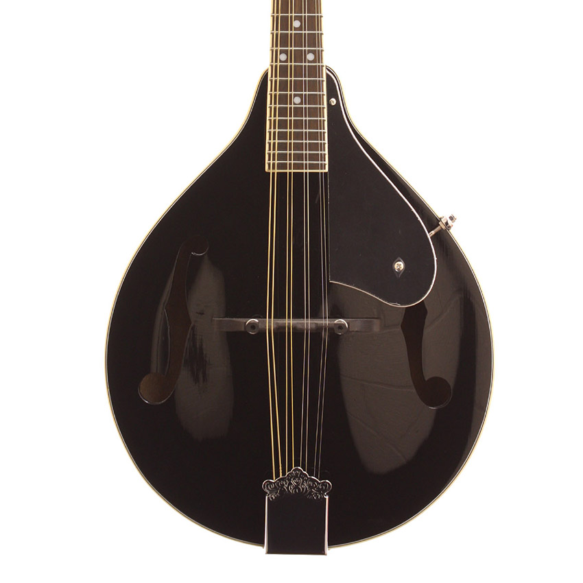 Delta Blue AM10 Mandolin Black Stringed Folk Instruments - Scayles Music
