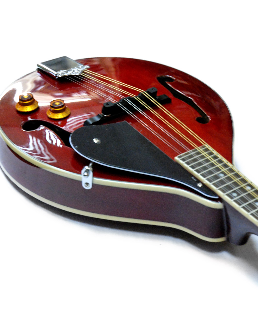 Delta Blue AM10E Electro Mandolin Stringed Folk Instruments - Scayles Music