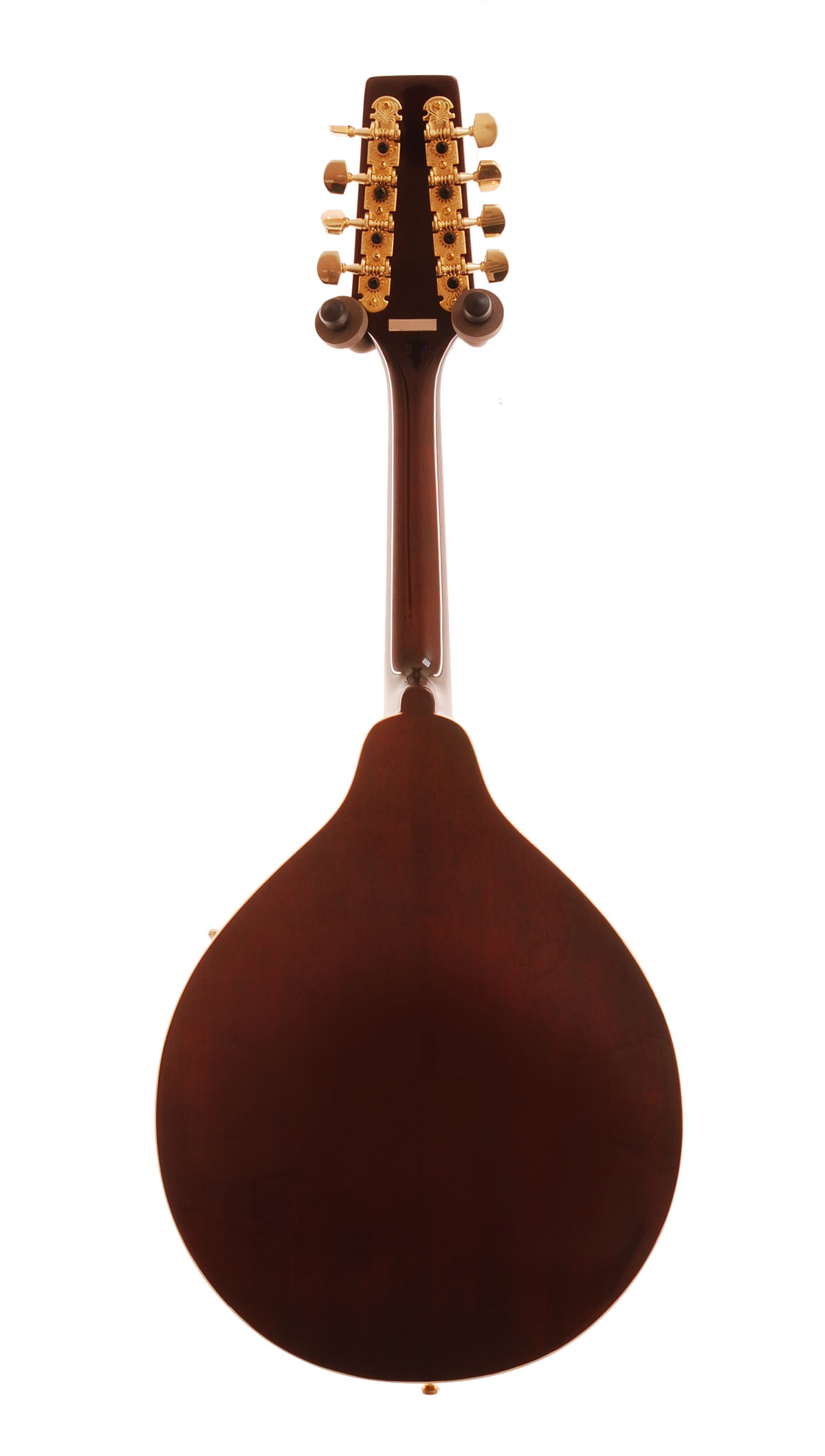 Delta Blue AM30S Mandolin Stringed Folk Instruments - Scayles Music