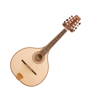 Fylde Archtop Longscale Bouzouki Stringed Folk Instruments - Scayles Music