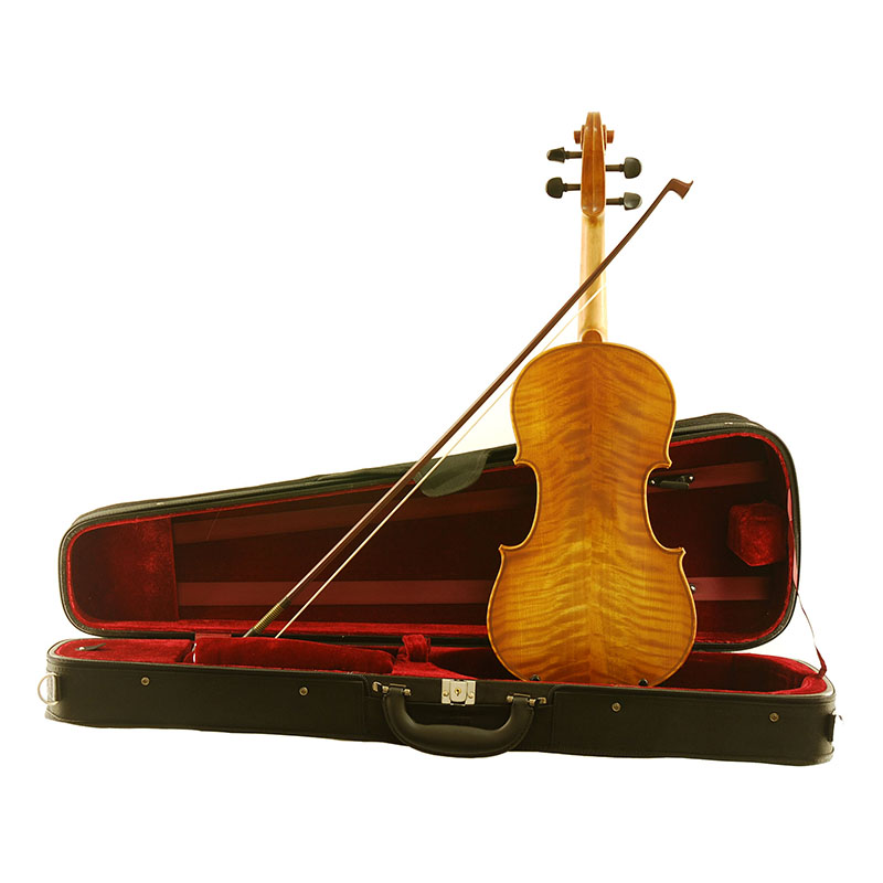 Stolzel Concerto Dlx 4/4 Size Violin Outfit Violin Family - Scayles Music